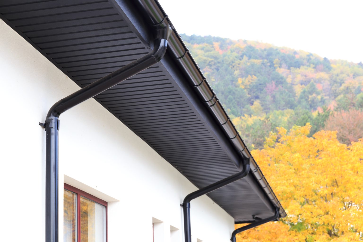 Ce este sageacul și de ce este esențial pentru acoperișul tău - Bilka